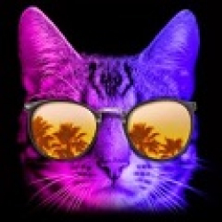 WT Live // Casper_duh