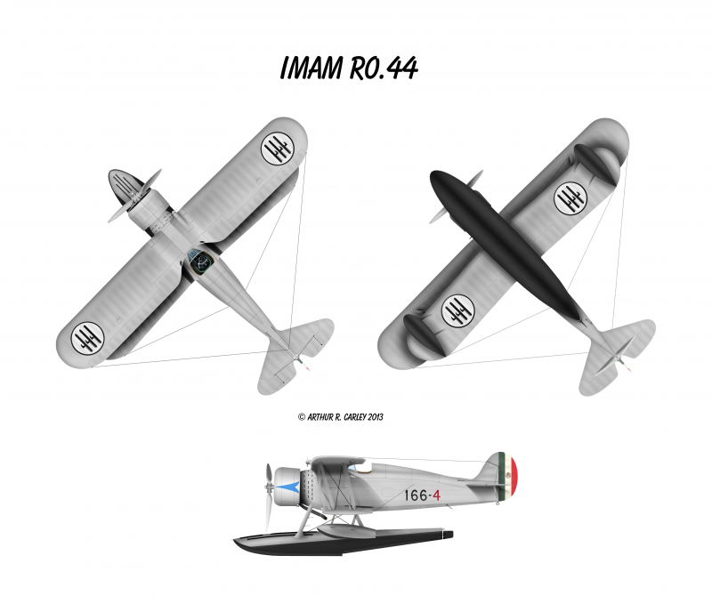 WT Live // Images by Pacifica