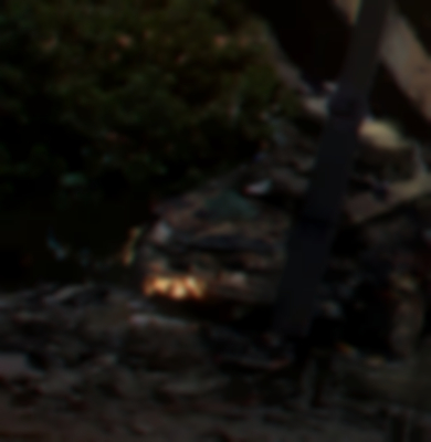 WT Live // pypsik__1997