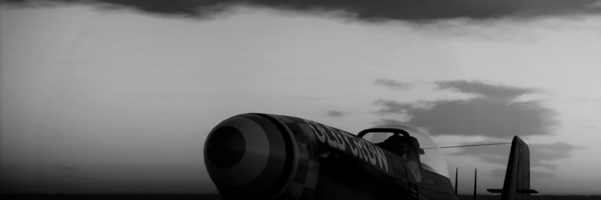 WT Live // TOO_TALL305