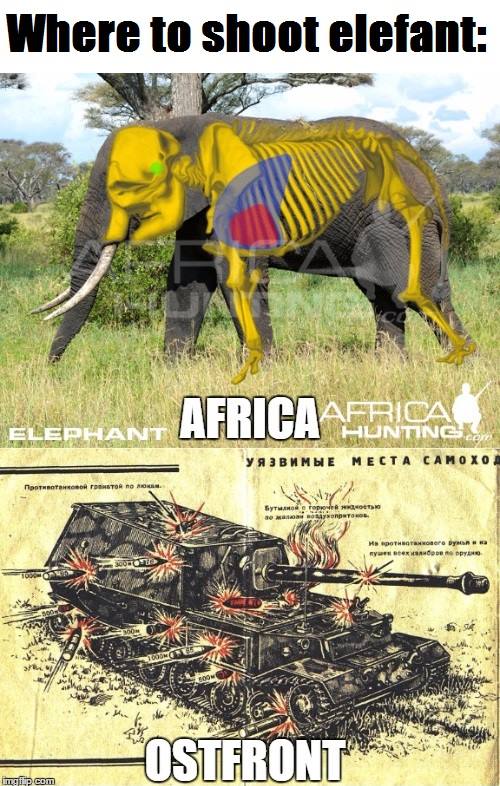 WT Live // Image by _Meatball