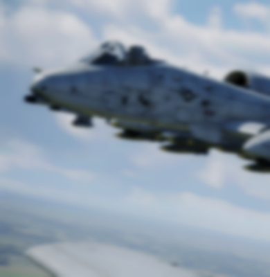 WT Live // zuizui_1127