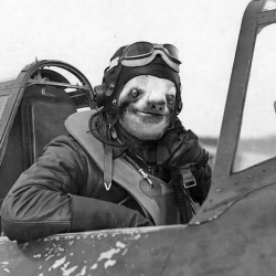 WT Live // OneHistoria19951