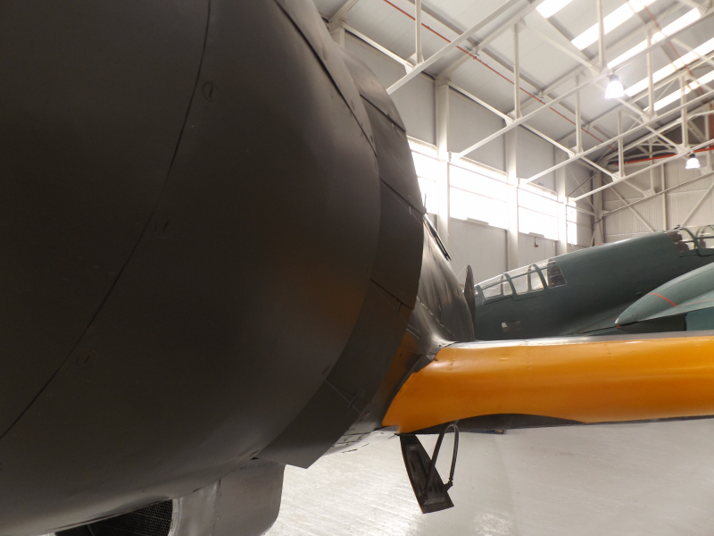 WT Live // Image by YuikoArashi@live