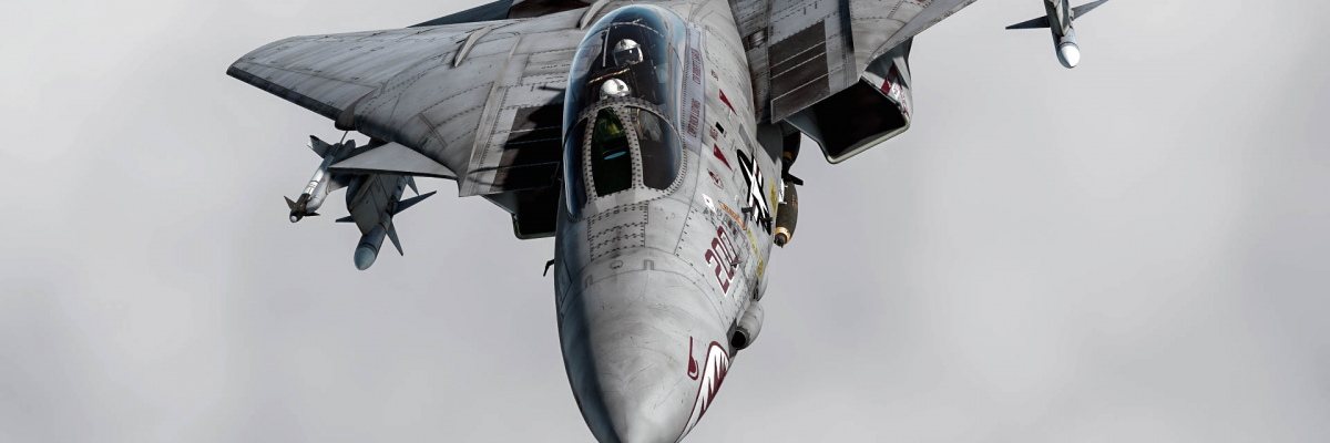 WT Live // TH_Fegel_Team