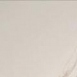 WT Live // L_MorningStar