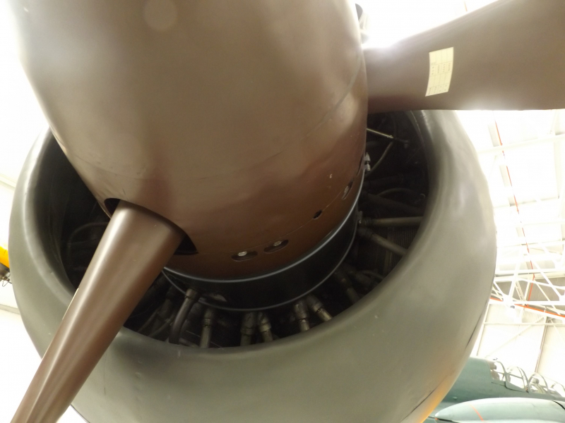 WT Live // Image by YuikoArashi@live