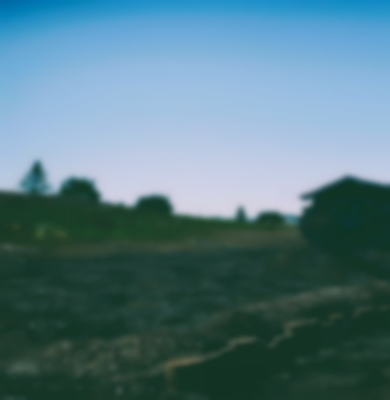 WT Live // TIGER_113