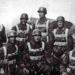 WT Live // KnightHaWK