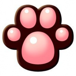 WT Live // stonksstoun