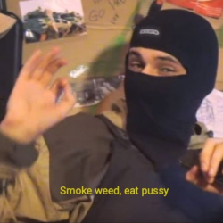 WT Live // zyrox_xyz