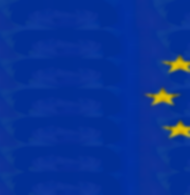 WT Live // bestiazwadowicPL