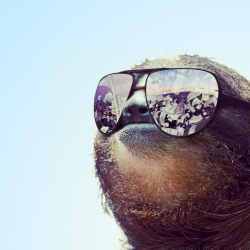 WT Live // Sw4gSloth