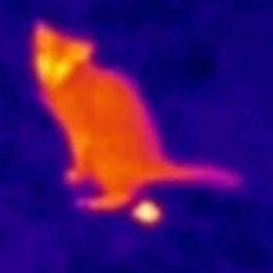 WT Live // -Erika_Hartmann-