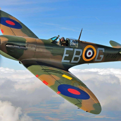 WT Live // JIMJAM178