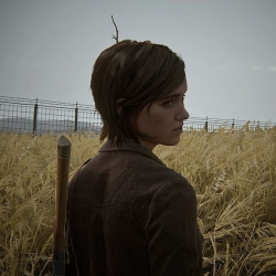 WT Live // hiçmutludeğilim