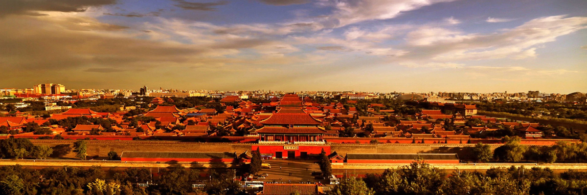 WT Live // Ywfl_114514