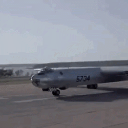 WT Live // cluckcluck1111